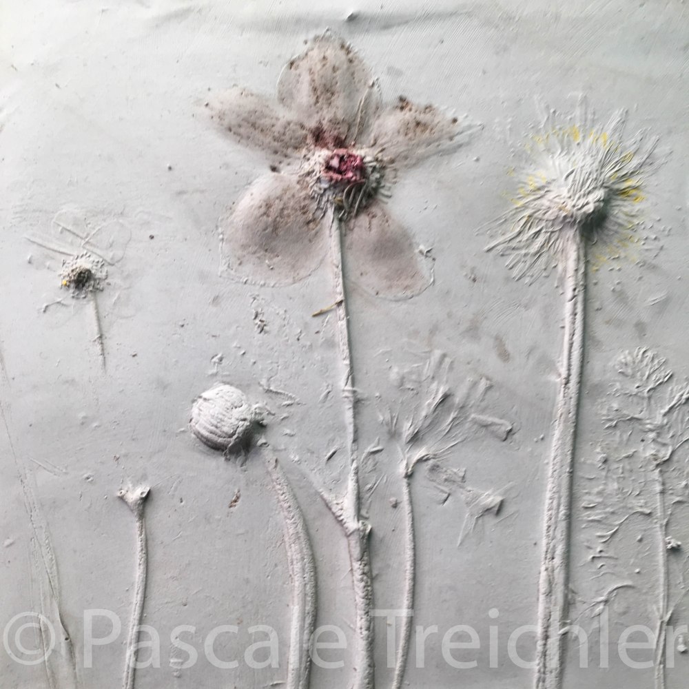 Workshop Gipsbilder – Pascale Treichler