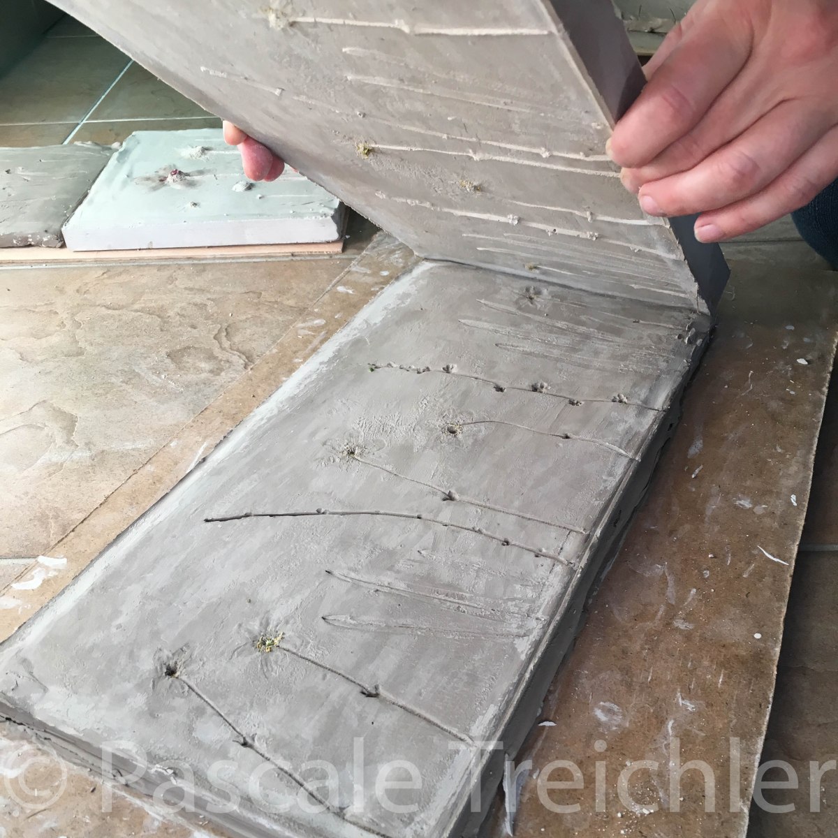 Workshop Gipsbilder – Pascale Treichler